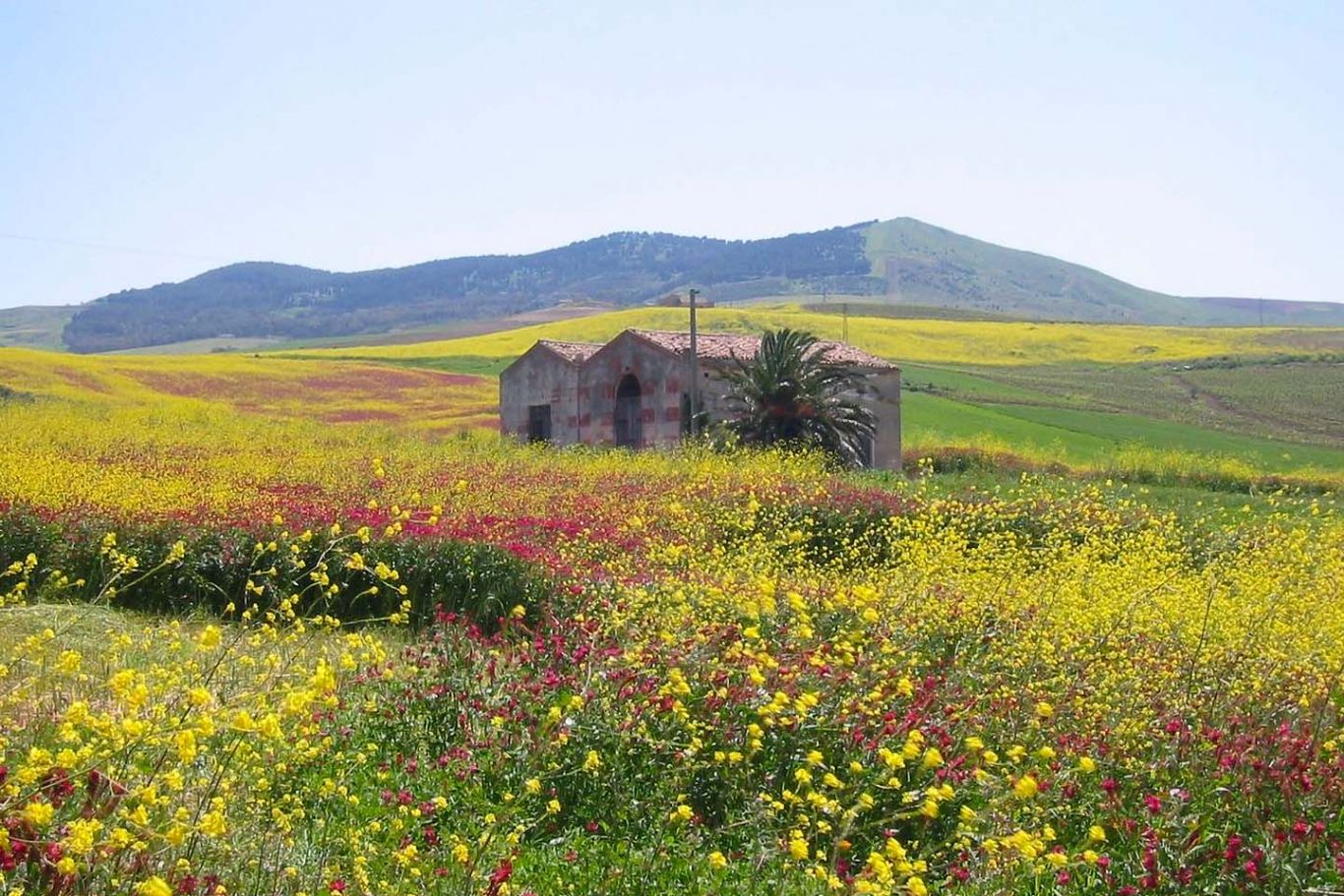 Buseto Palizzolo, guida completa al borgo vicino San Vito