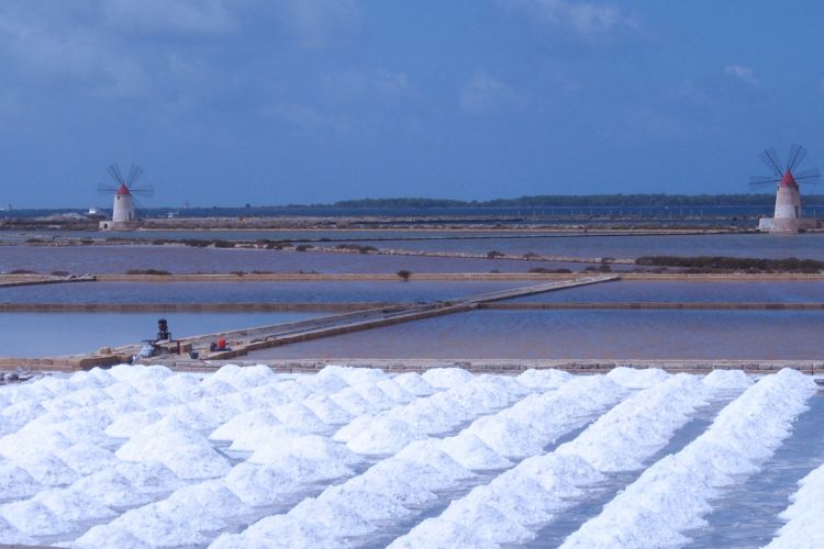 Visita le Isole dello Stagnone: natura e storia a Marsala